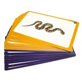 Junior Learning 44 Sound Cards Learning Set - Walmart.com