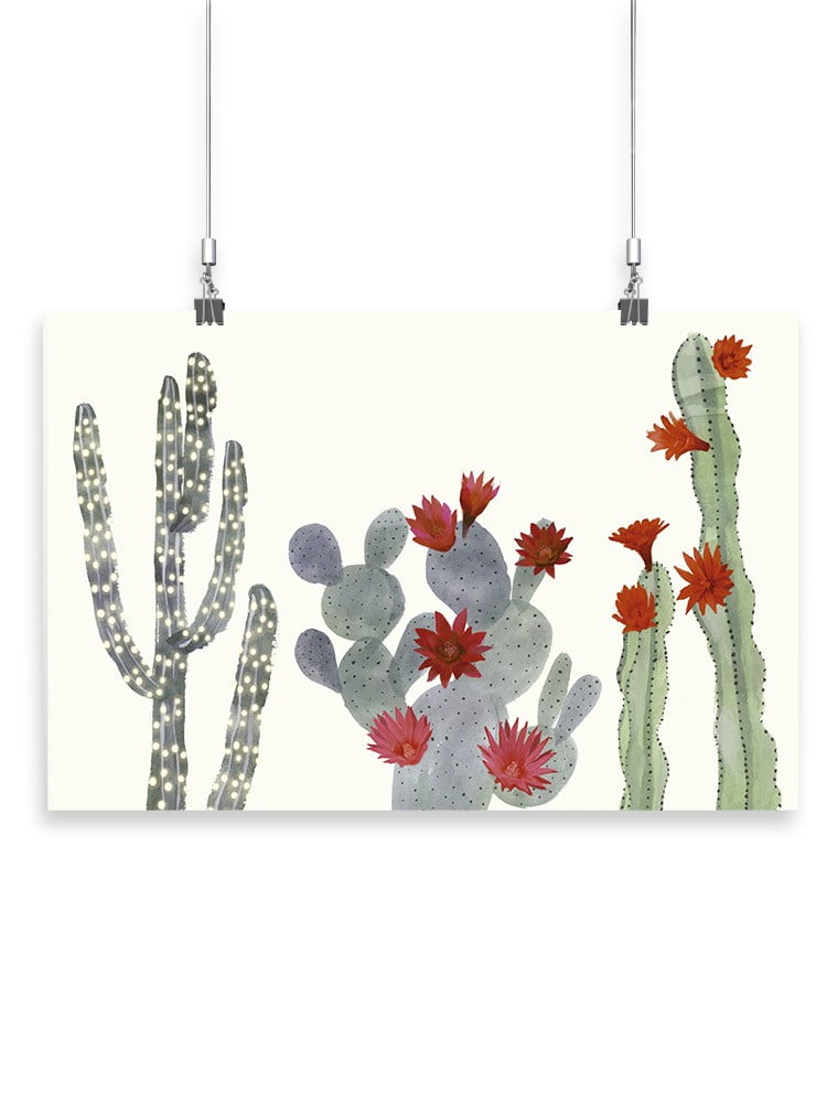 Flowering Christmas Cactus A Poster - Victoria Borges Designs ...