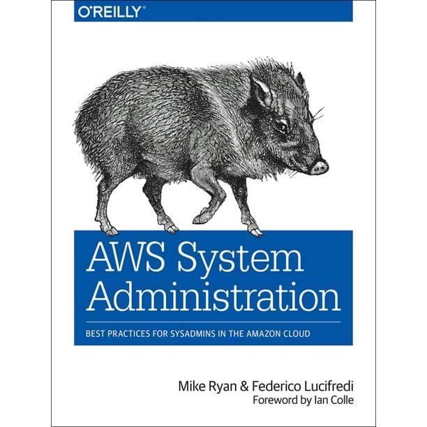 AWS System Administration : Best Practices for Sysadmins in the Amazon ...