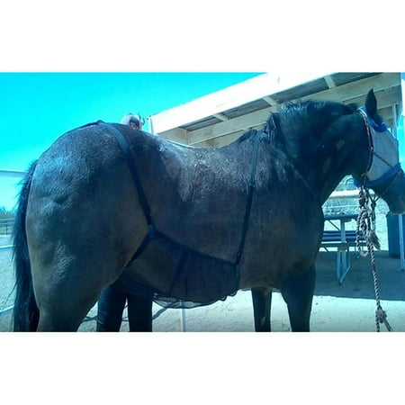 Maoww Horse Fly Sheet Belly Guard Net Protection Blanket Adjustable ...