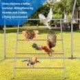 Dextrus Chicken Perch Set for Hens Perch Stand, Essential Perching ...