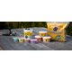 DMF Bait Co. Meal Worms, Live Fishing Bait, 36 Count - Walmart.com