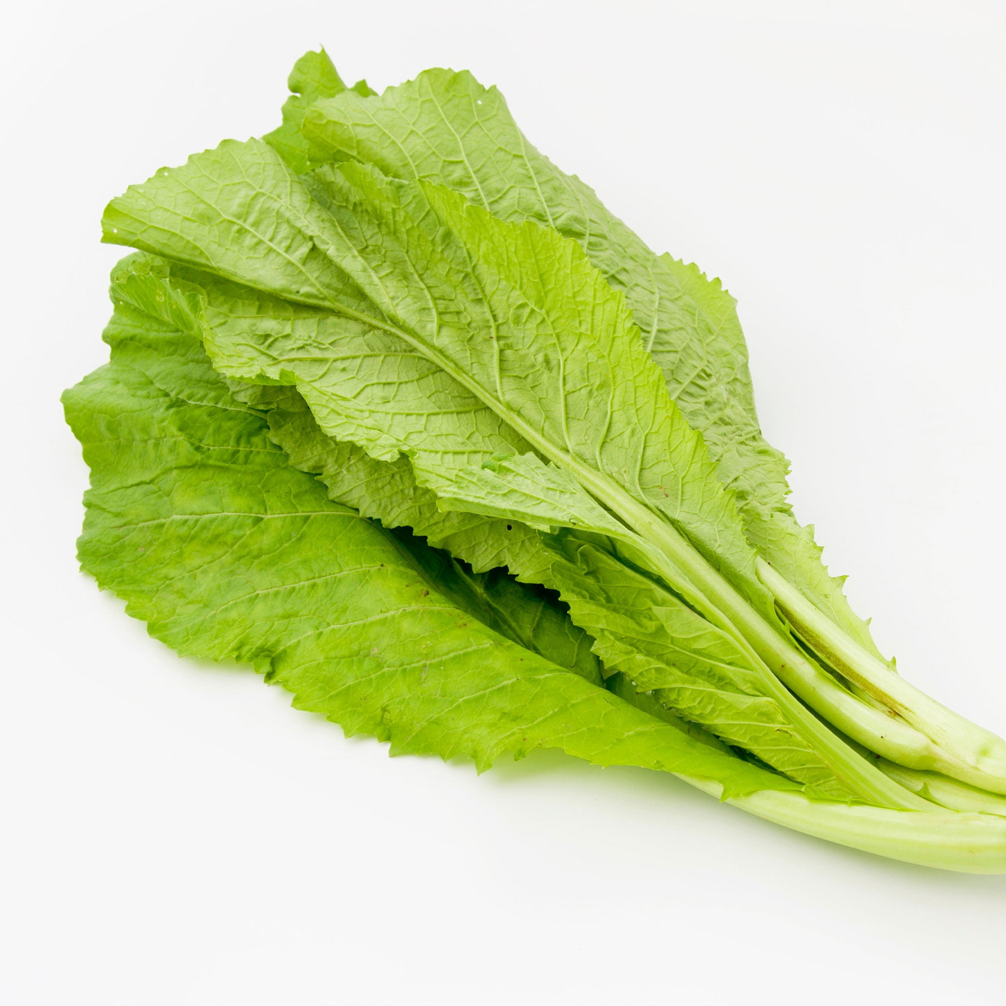 Mustard Seeds - Serifon (Suehlihung) - 3 g Packet ~1026 Seeds - Non-GMO ...