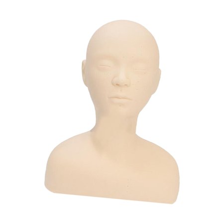 PVC Head Model, Practice Training Heads with Acupoint Hole for ...