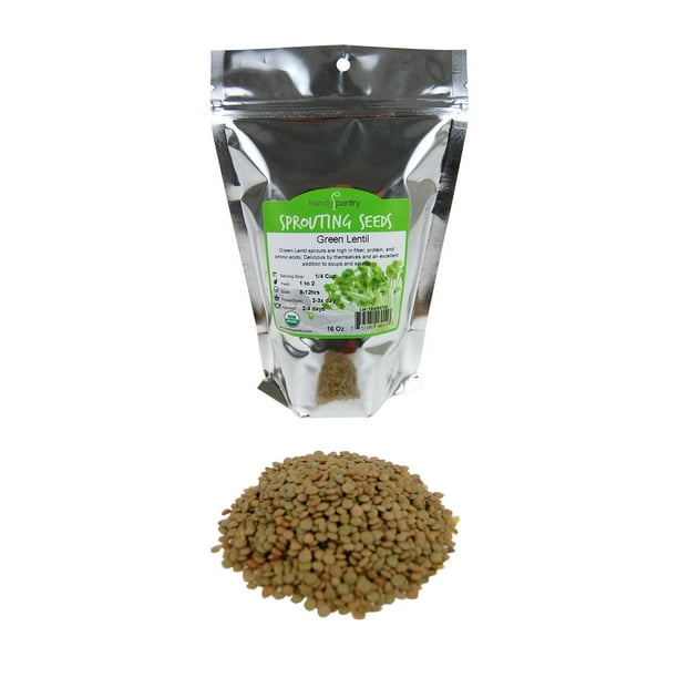 Organic Dried Green Lentil Sprouting Seed: 1 Lb - Dry Lentils for ...
