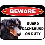 SignMission Dachshund Security Sign, 12 x 8 in., Indoor & Outdoor Use ...