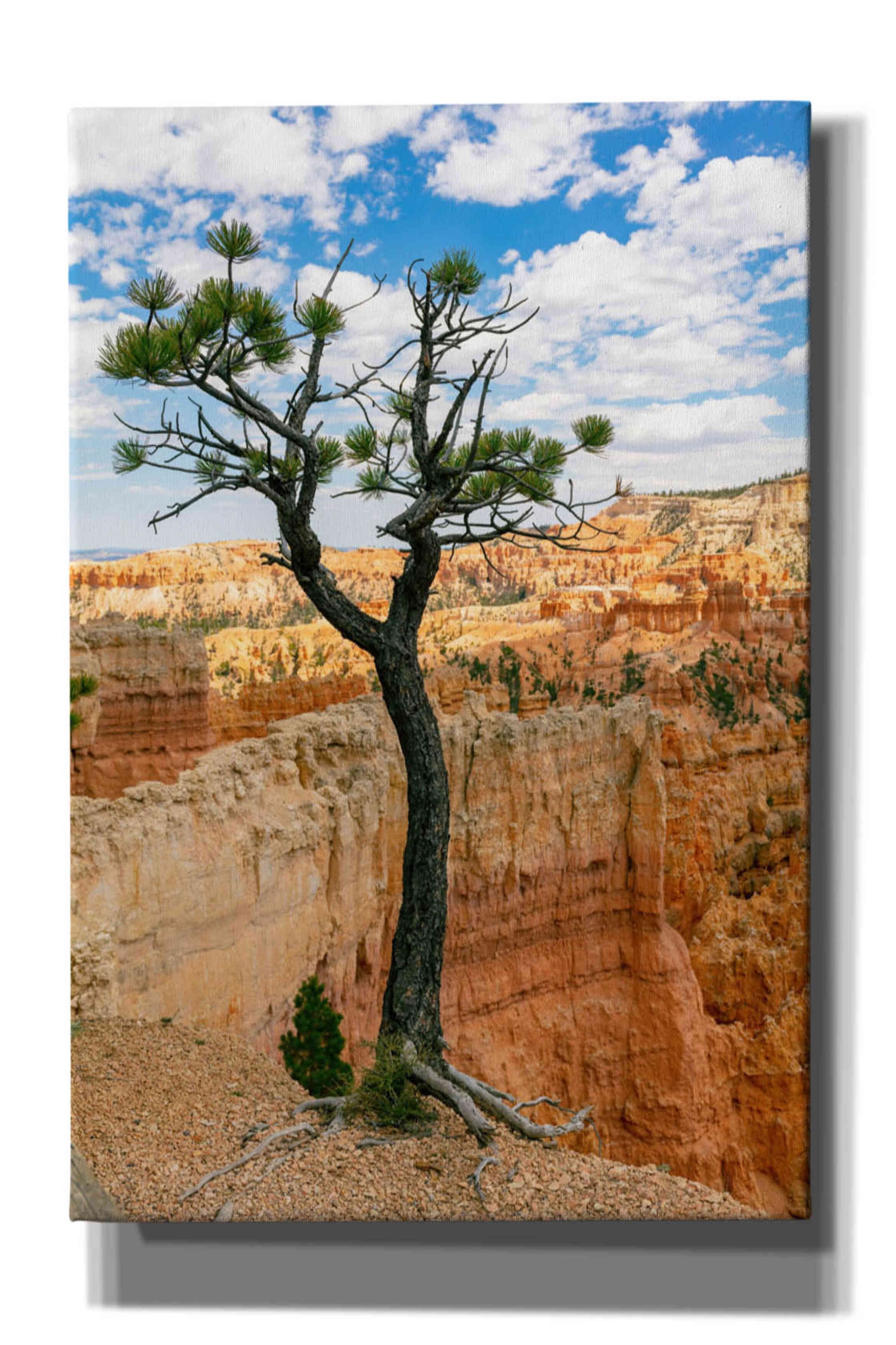 Epic Graffiti 'Utah - Bryce Canyon Tree' by Epic Portfolio, Canvas Wall ...