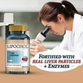 LIPOCHOL Herbs Repair Formula, Liver Detox Supplement, Milk Thistle ...