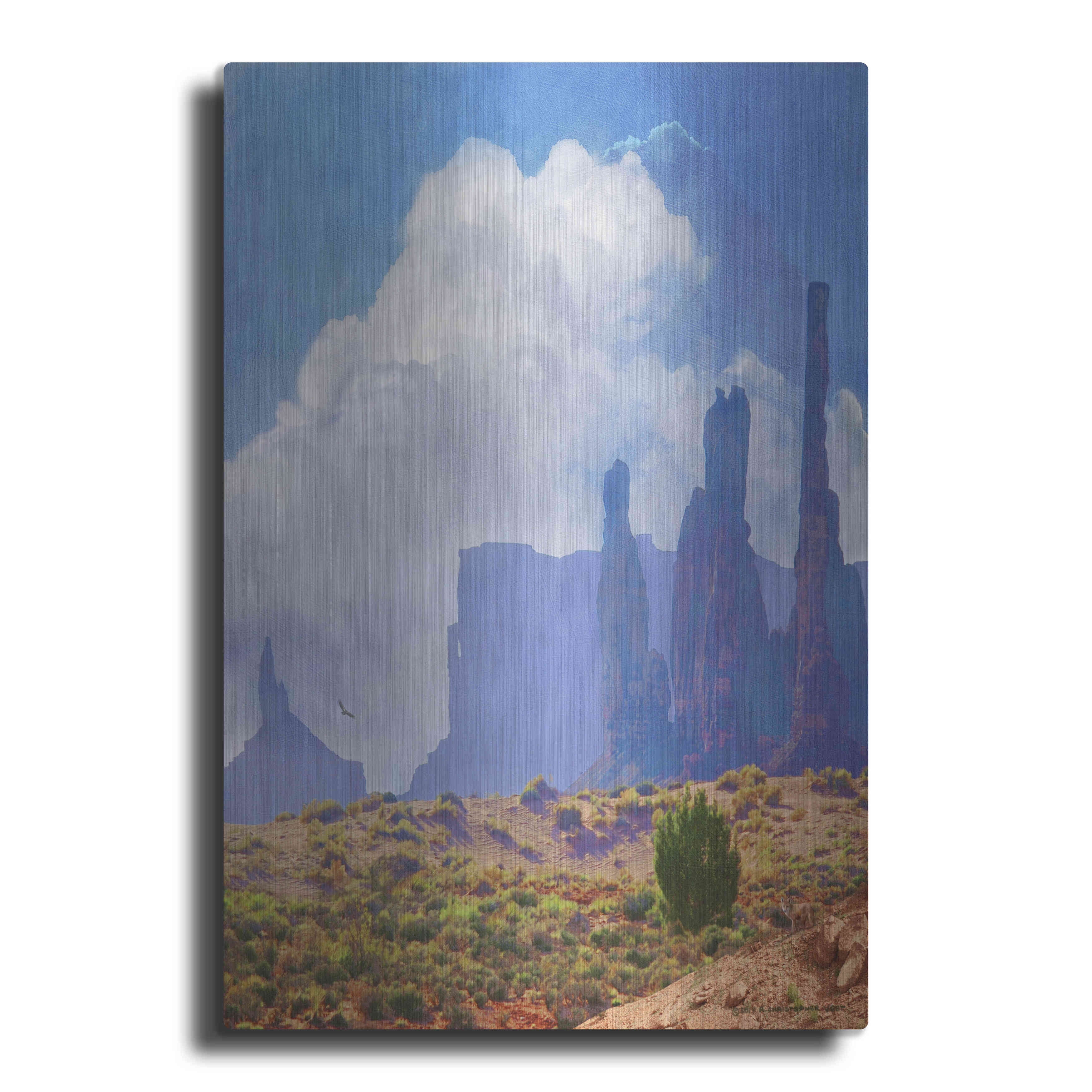 Luxe Metal Art 'Desertscape' by Chris Vest, Metal Wall Art, 12"x16 ...