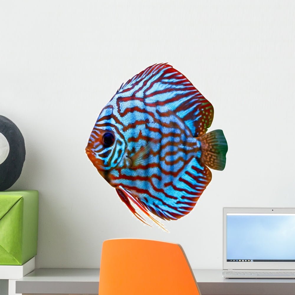 Colorful Tropical Discus Fish Wall Decal Sticker by Wallmonkeys Vinyl ...