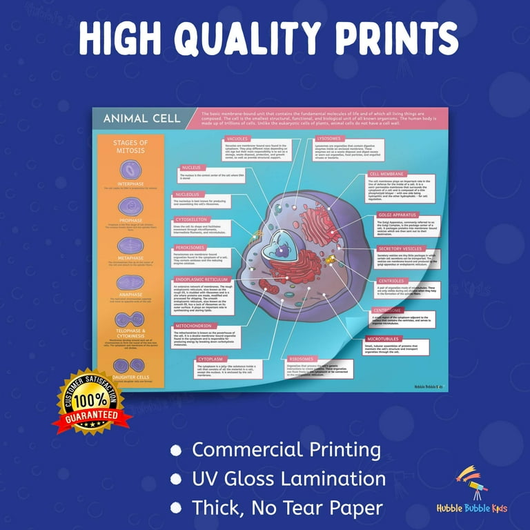 Science Posters For Classrooms