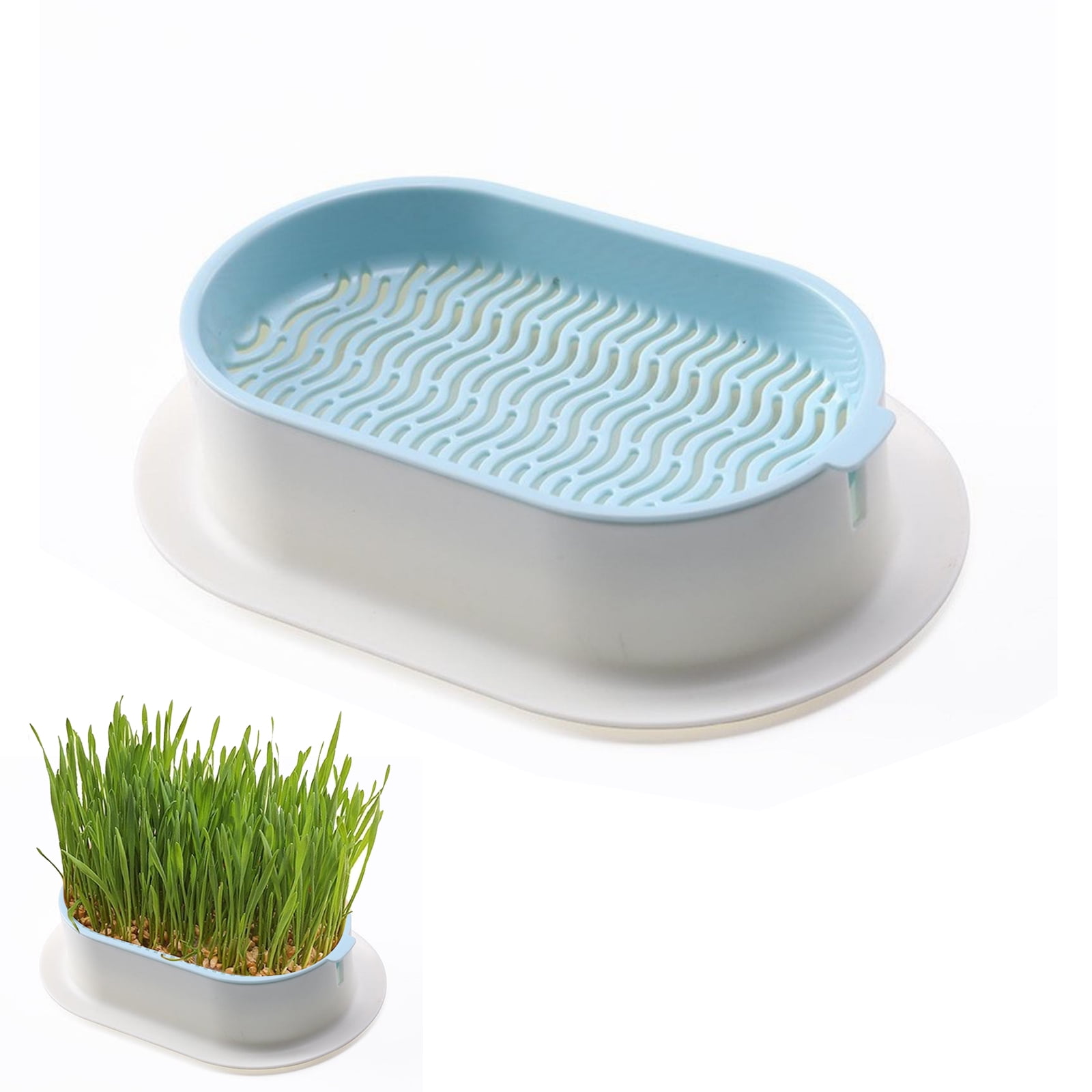 Click here for Graflsoa Hydroponic Cat Grass Planter Box - Soille... prices