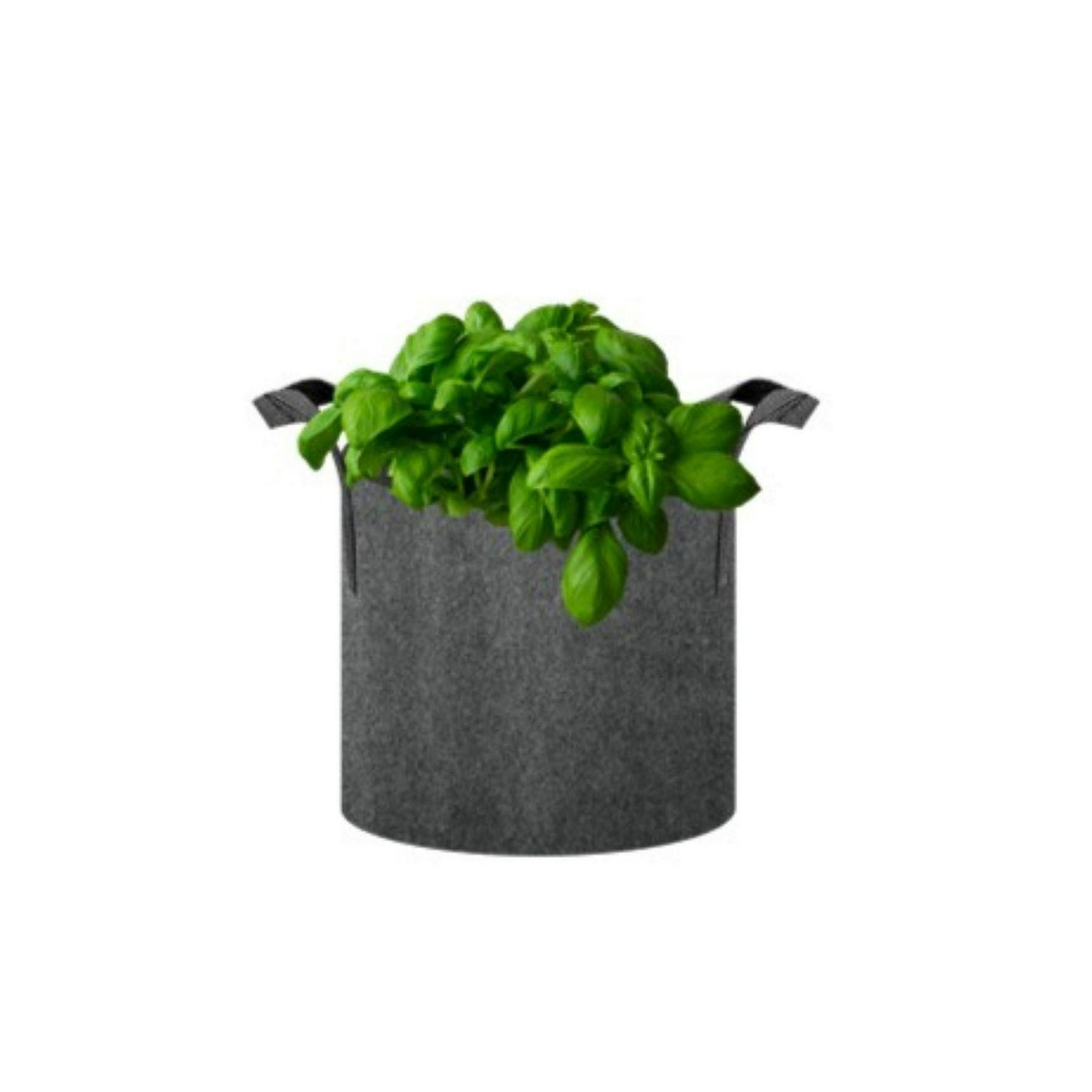 Click here for Tasc Grow Bag prices