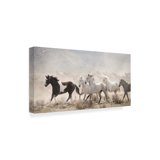 Trademark Fine Art 'Open Range' Canvas Art by PHBurchett - Walmart.com
