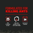 Amdro Ant Block Home Perimeter Ant Bait, Ant Killer, Lasts Up to 3 ...