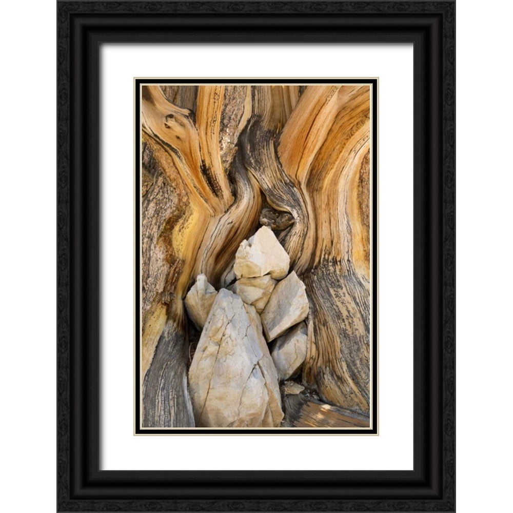 Paulson, Don 11x14 Black Ornate Wood Framed with Double Matting Museum ...