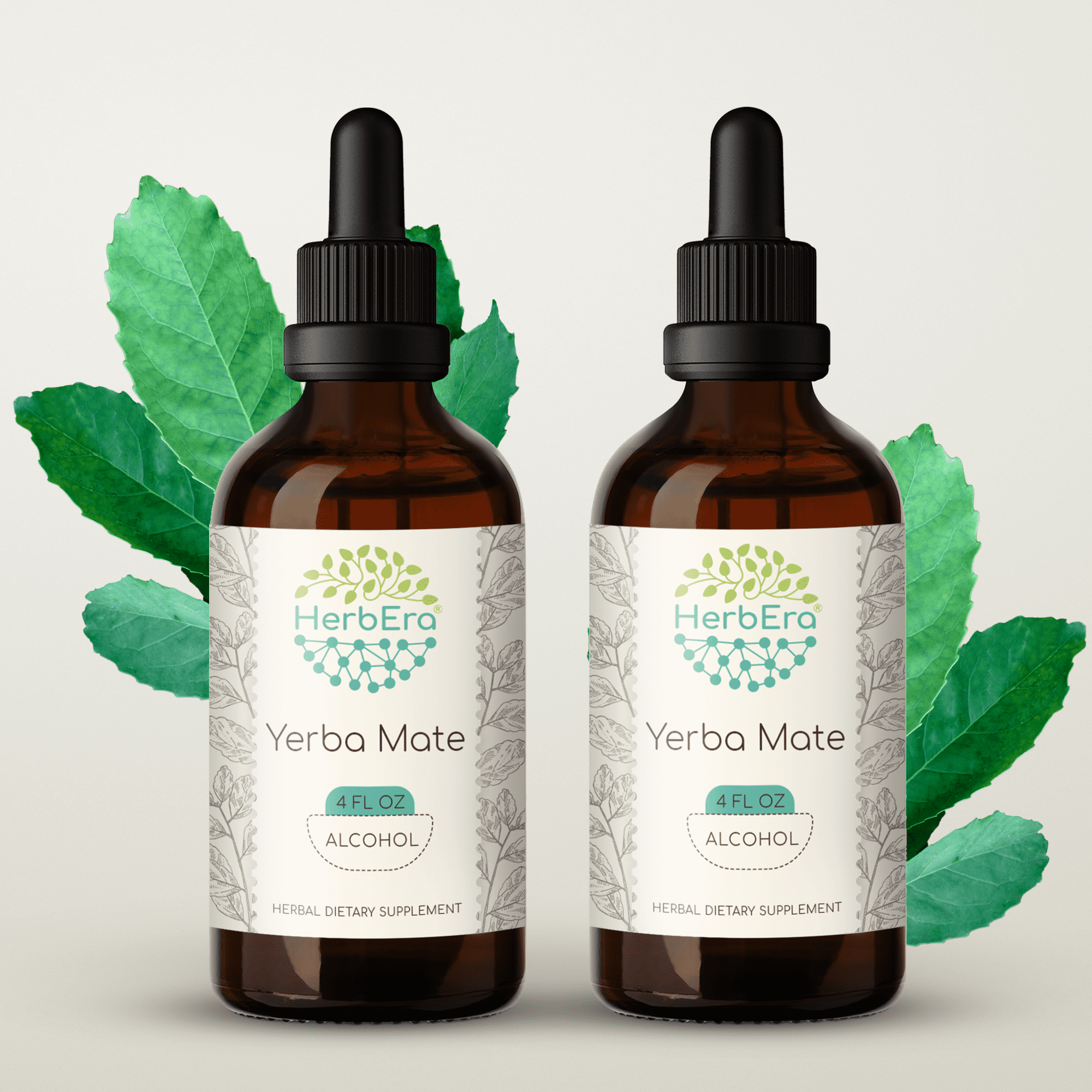 Yerba Mate Alcohol Herbal Extract Tincture, Super-Concentrated Organic ...