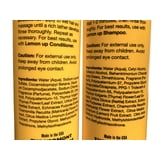 Lemon Up Shampoo & Conditioner Set, Controls Oil, Hydrates, Adds Shine ...