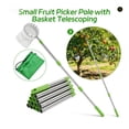 CaraMart Fruit Picker Tool Extendable Stainless Steel Pole with Cloth ...
