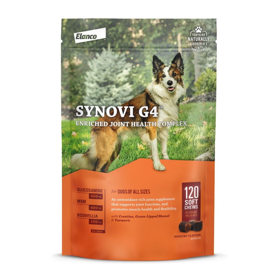 Synovi G4 Dog Joint Supplement Chews for Dogs of All Ages, Sizes and ...