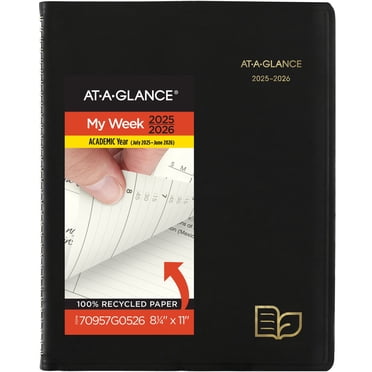 At-A-Glance Professional Daily Appointment Book - Walmart.com
