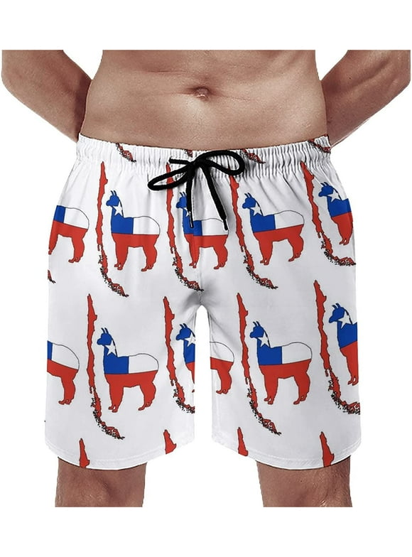 Texas Swim Trunks