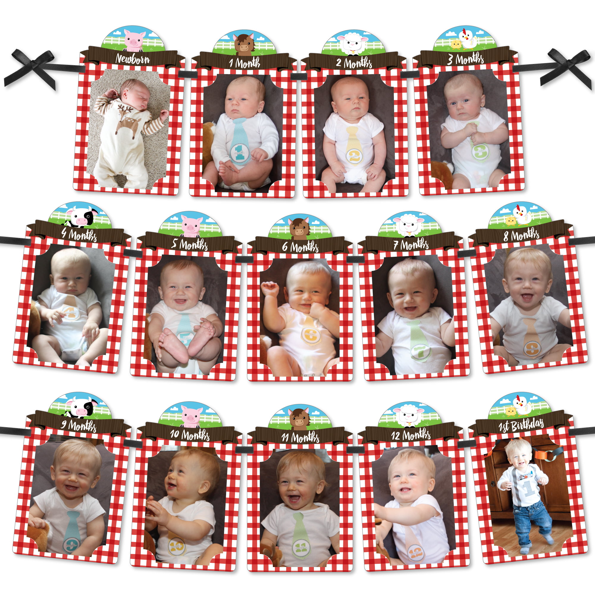 Big Dot of Happiness 1st Birthday Farm Animals - DIY Barnyard First ...