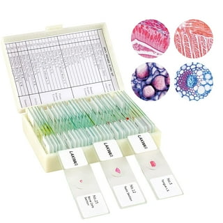 AmScope Microscope Slide Preparation Kit Including Slides, Stains New ...
