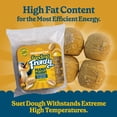 Pennington Feeding Frenzy No-Melt Peanut Delight Suet Dough Balls, New ...