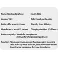 BL02 Country Intelligent Real Translation Wireless Earphones Providing ...