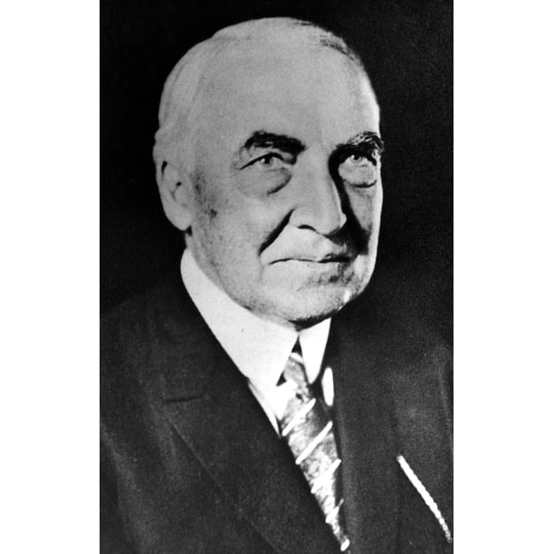 Warren G. Harding History (24 x 36) - Walmart.ca