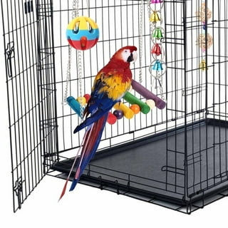 16 count Living World Olympic Rings Plastic Bird Toy - Walmart.com