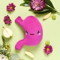 Stomach Plush Organ Toys- I’ve Gut a Good Feeling About This ...