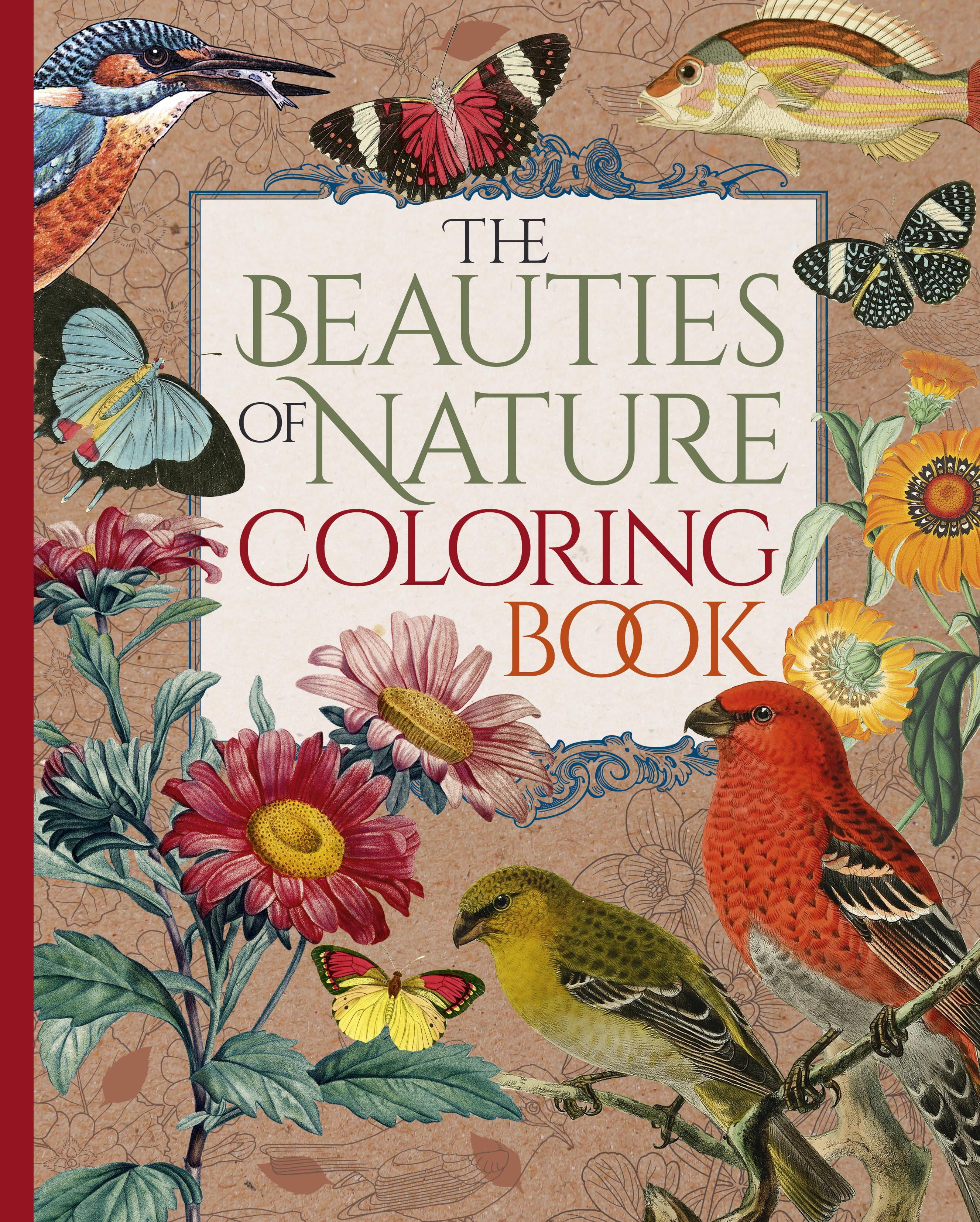The Beauties of Nature Coloring Book (Paperback) - Walmart.com ...