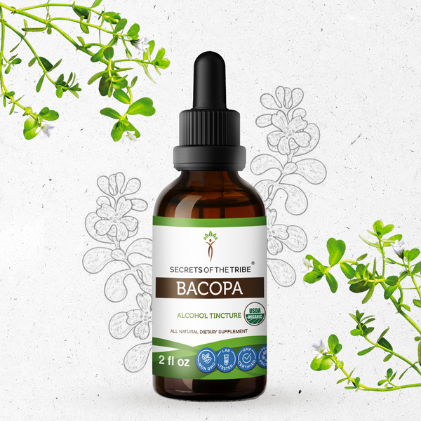 Bacopa Tincture Alcohol Extract, Organic Bacopa Bacopa Monnieri ...