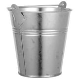 Small Bucket with Lid Steel Drum Sleek Mini Plant - Walmart.com