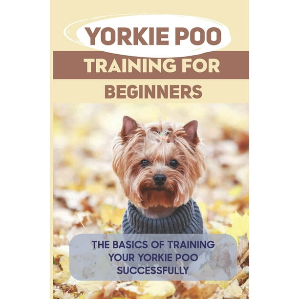 How Do You Potty Train A Yorkie Girl