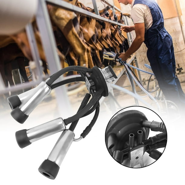 Cow Milking Cluster, Hangable Milking Cluster, Stainless Steel + Rubber ...
