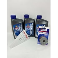 V-Twin Oil Change Kit Mineral w/Chrome Filter, Evolution - Walmart.com