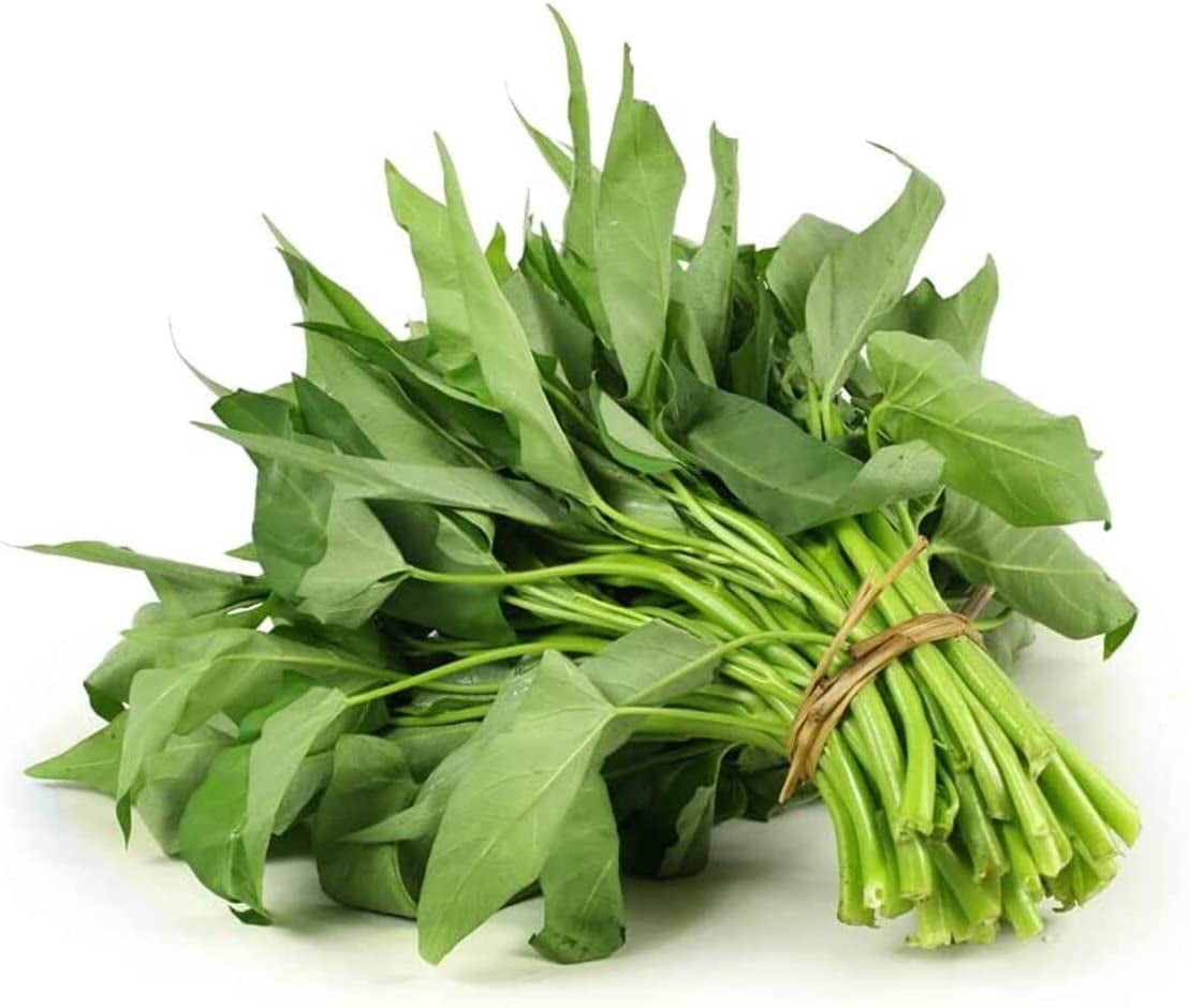 Kong Xin CAI Seeds (250 Seeds) - Green Leaf Vegetable Seeds for ...