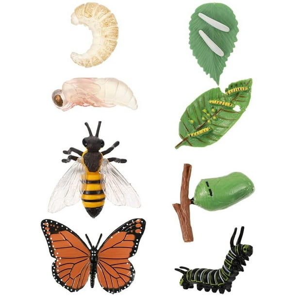 CPDD 2 Sets Insect Figurines Life Cycle of a Butterfly Bee Caterpillars ...