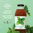 Just Ice Tea Organic Sweet Iced Tea, 16 Fl Oz Glass Bottles, Morrocan ...