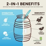 Taste Salud, Hydration + Immunity Drink Mix, Horchata, 1.27 oz ...