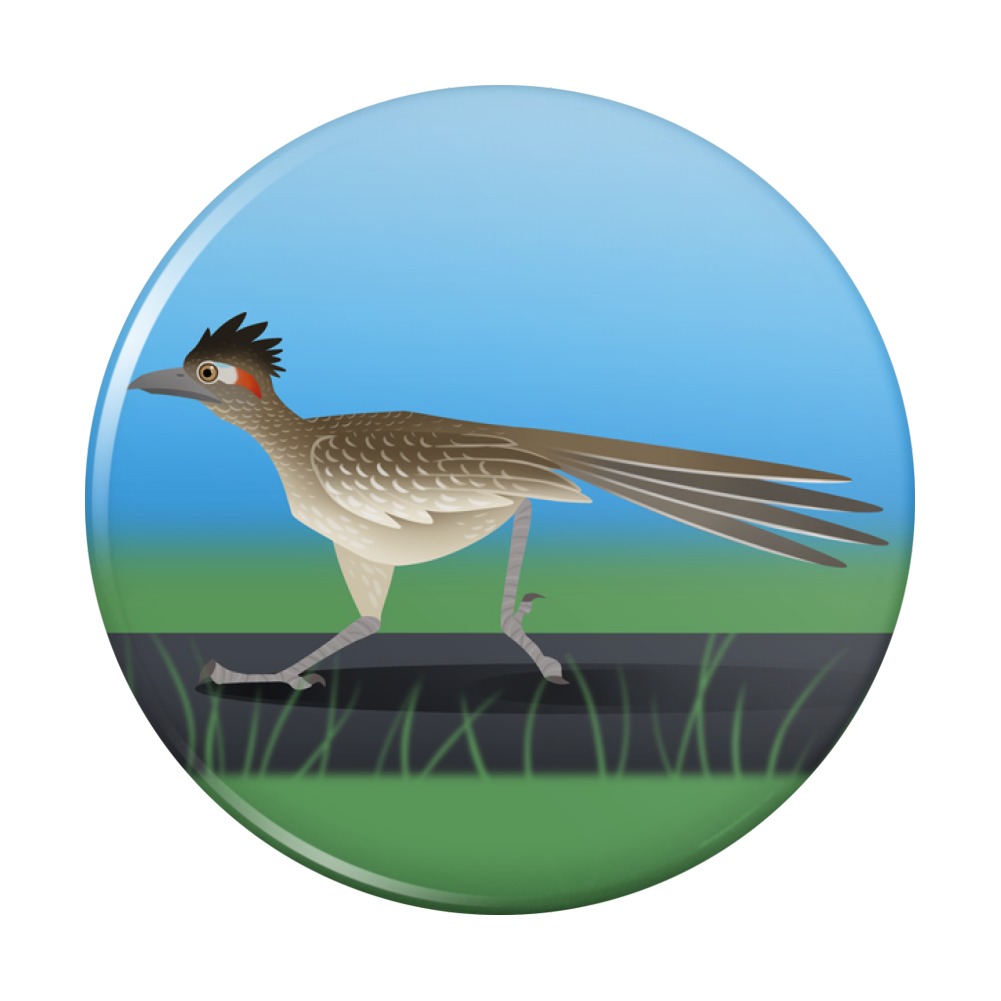 Roadrunner Runs Fast Kitchen Refrigerator Locker Button Magnet ...