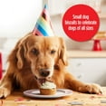 Milk Bone Flavor Snacks Dog Birthday Treats, Small Biscuits, 36 oz Tin ...