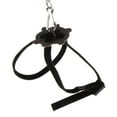 Pet Harness Reptile Leash Turtle Lizard Adjustable Outdoor Training ...