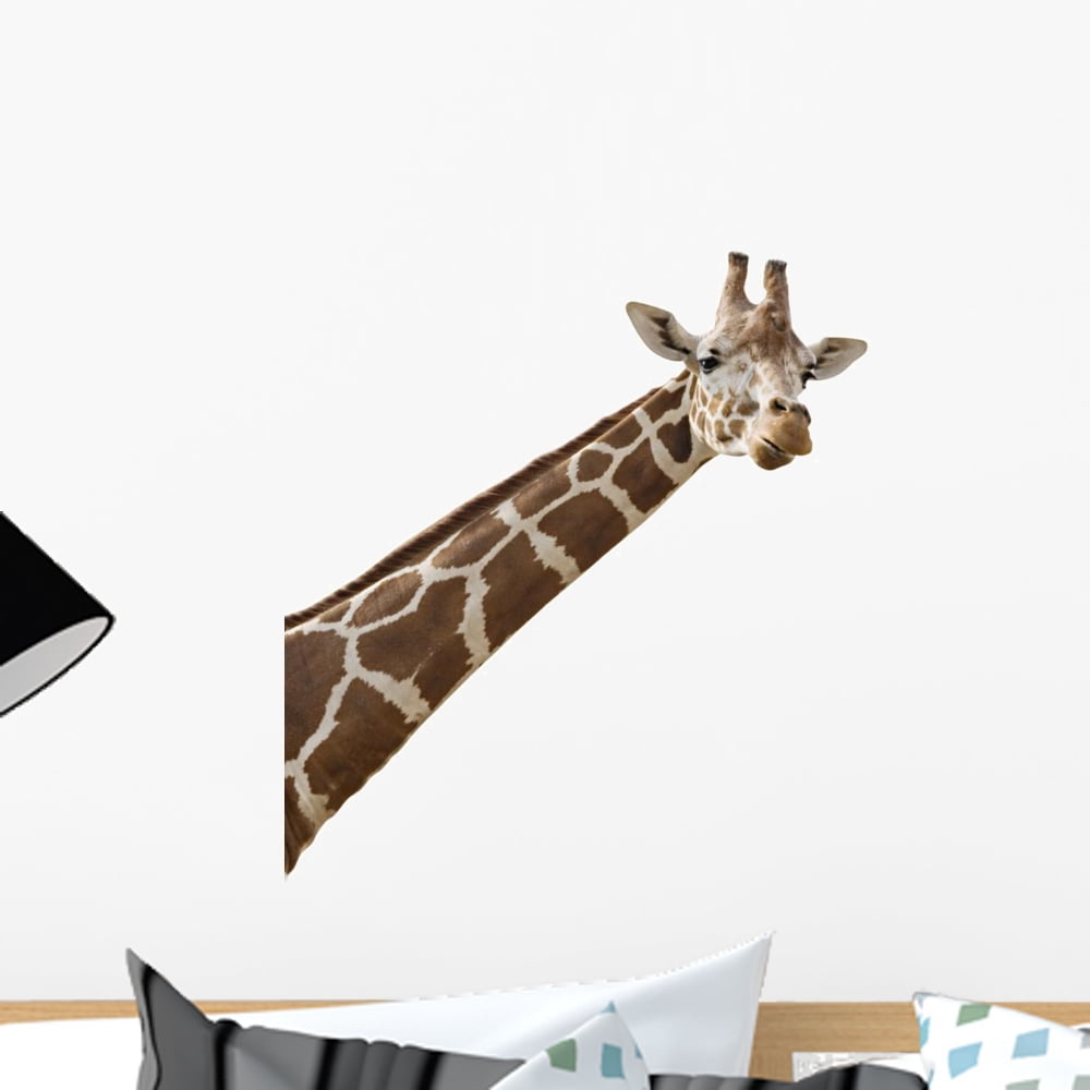 Photo Giraffes Neck and Wall Decal Sticker, Wallmonkeys Peel & Stick ...