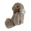 Spark Create Imagine Soft Bunny Plush, Brown for all ages - Walmart.com