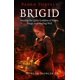 Pagan Portals: Brigid : Meeting the Celtic Goddess of Poetry, Forge ...
