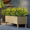 CaraMart For Gardens For Hanging Planters Fake Shrubs Artificial ...